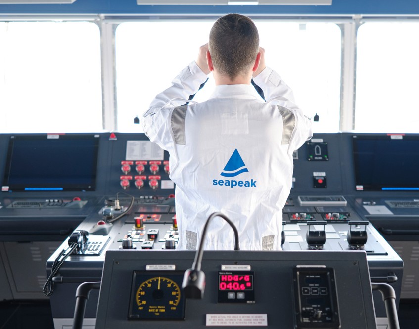 Seapeak sells LNG carrier for scrap - LNG Prime